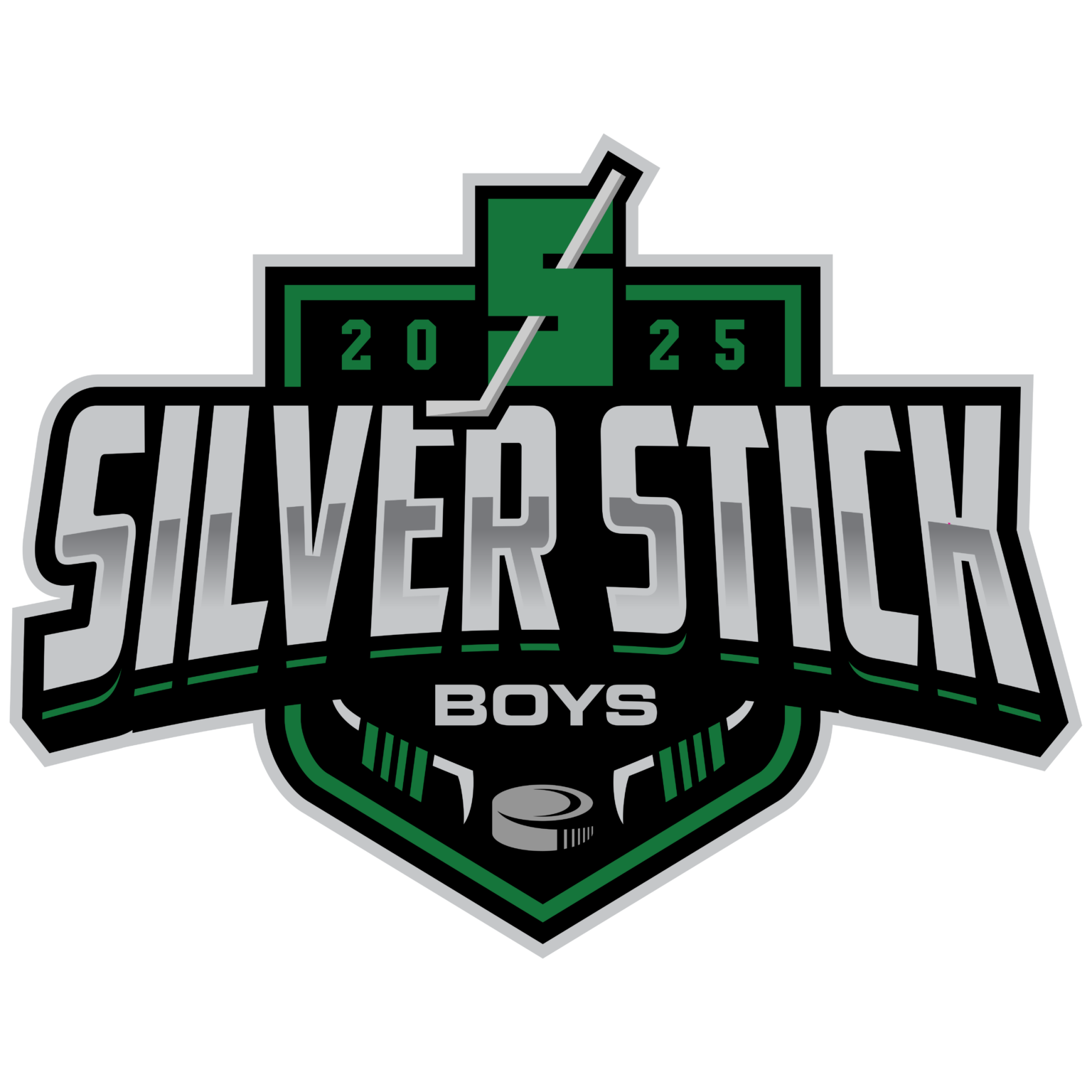 Promotions & Theme Nights - Sarnia Sting